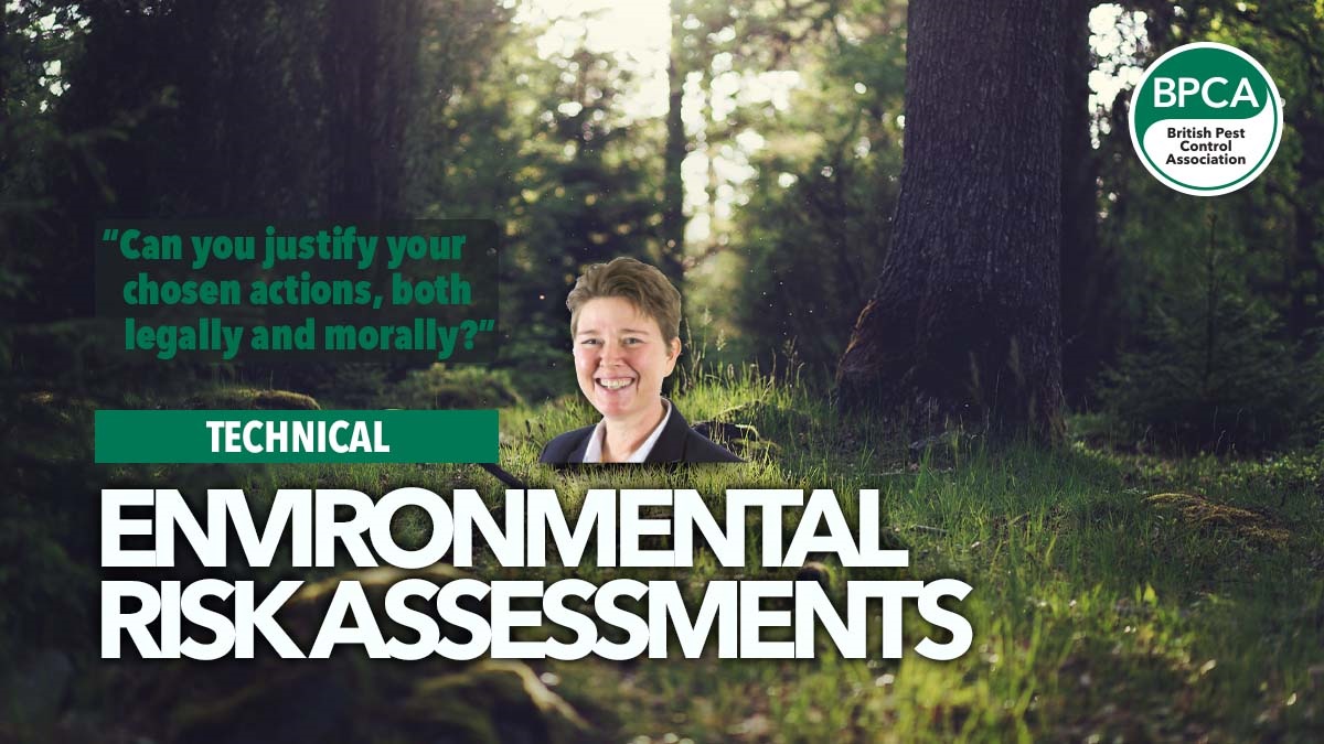 Environmental Risk Assessments and how to deal with them