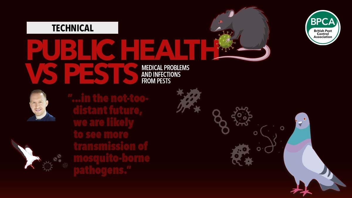Public health vs Pests: Medical problems and infections from pests