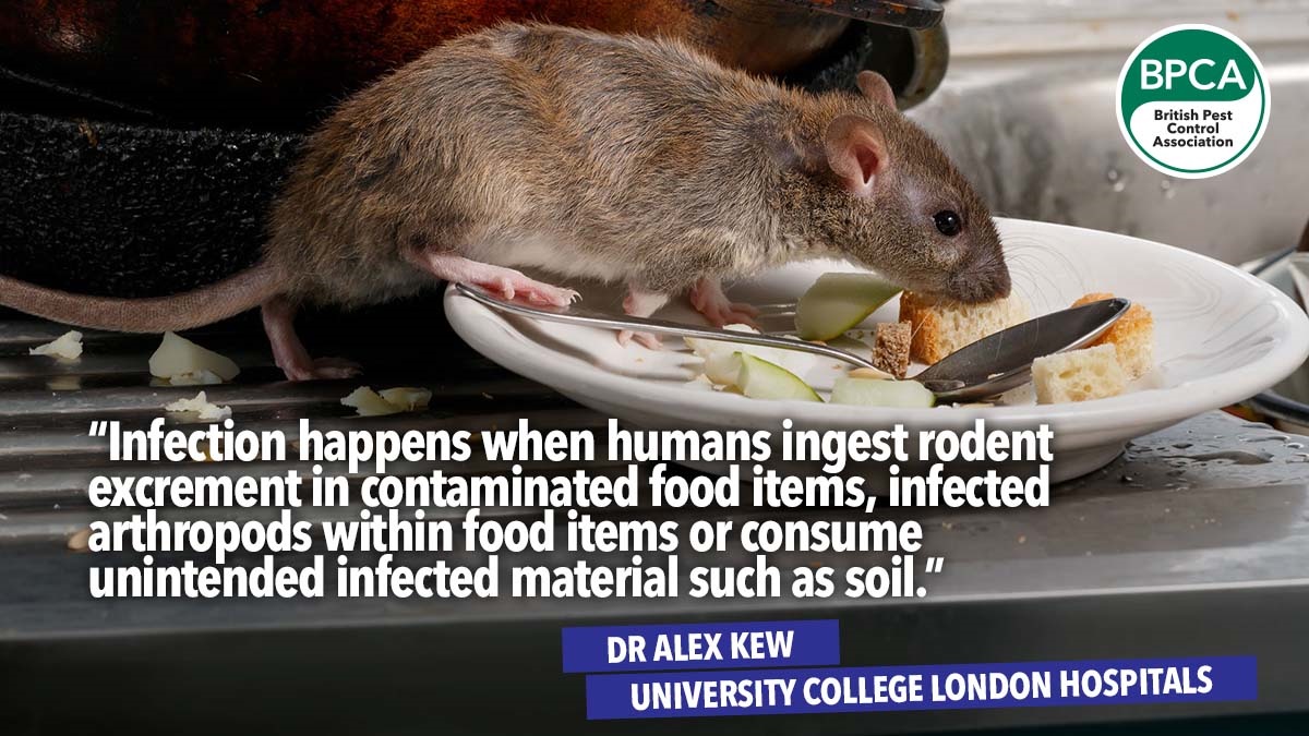 Public health vs Pests: Medical problems and infections from pests